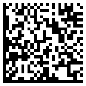 2D barcode – Lowry Solutions